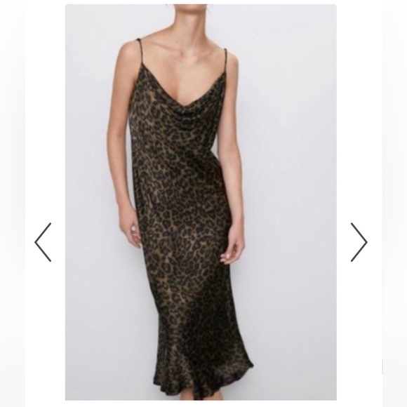 Zara | Dresses | Zara Leopard Print Dress | Poshmark